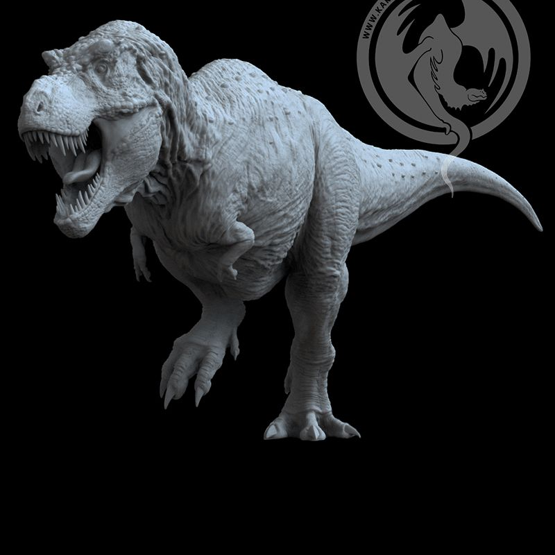 KINGDOM OF INSECTS by Karol Rudyk Art by Karol Rudyk Art ...