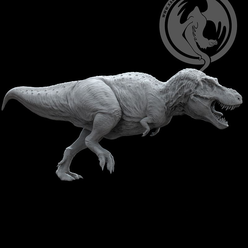 KINGDOM OF INSECTS by Karol Rudyk Art by Karol Rudyk Art ...