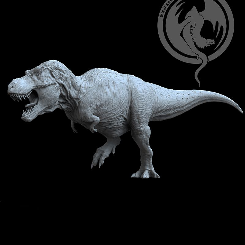 KINGDOM OF INSECTS by Karol Rudyk Art by Karol Rudyk Art ...