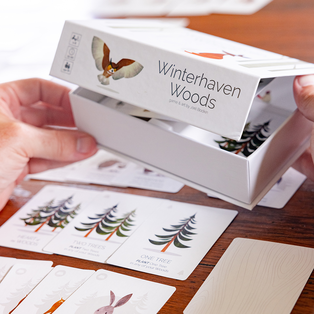 Winterhaven Woods by Featherstone Games - Winterhaven Woods (KS Edition ...