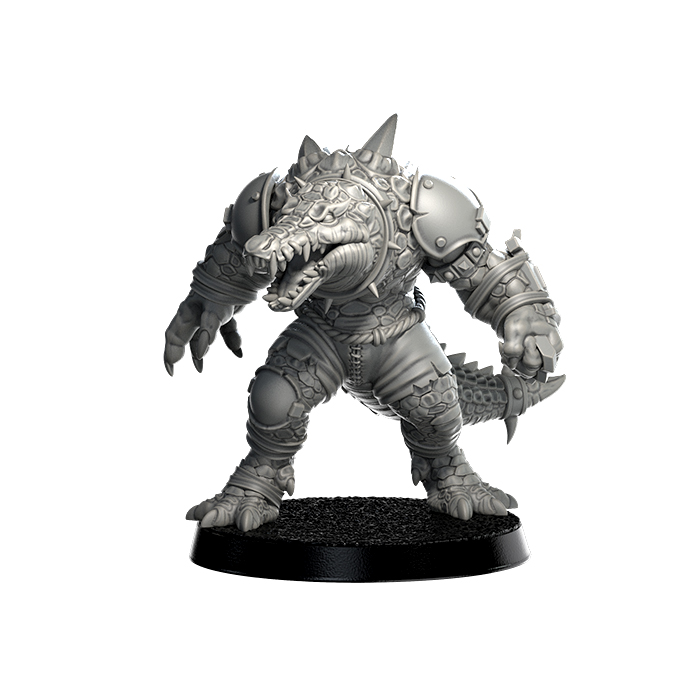 NORTH WARRIORS - Fantasy Football Teams by Fellowship Games - Gator ...