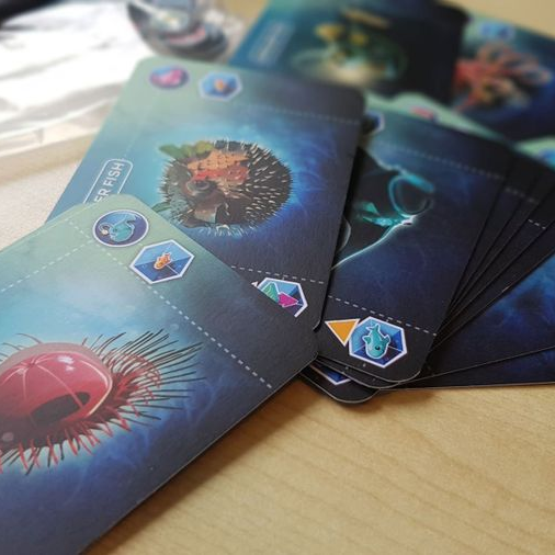 The Mariana Trench by Brightlight Games - The Mariana Trench Game ...