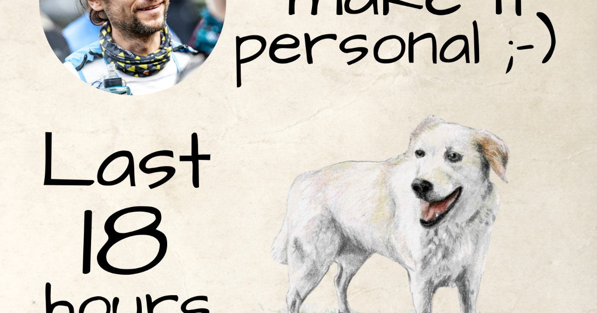 EcoLogic - ecosystem game by EcoLogic - The final moments of the EcoLogic campaign - Gamefound