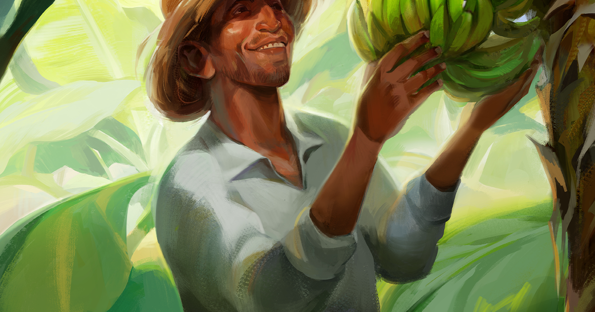 Puerto Rico Special Edition by Awaken Realms - English & LANG versions ...