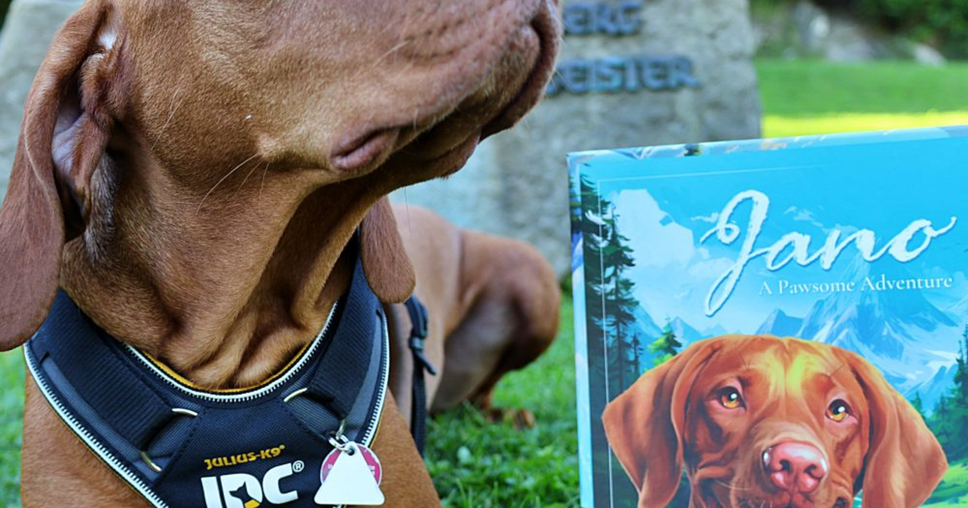 Jano - A Pawsome Adventure by aszaki - Limited Early Access, New Launch ...