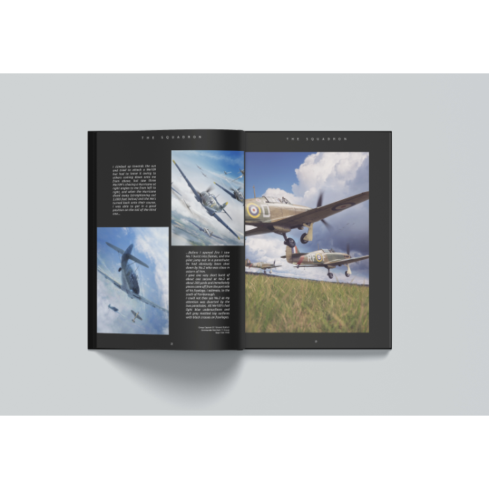 303 Squadron Board Game by Hobbity.eu - Artbook - Gamefound