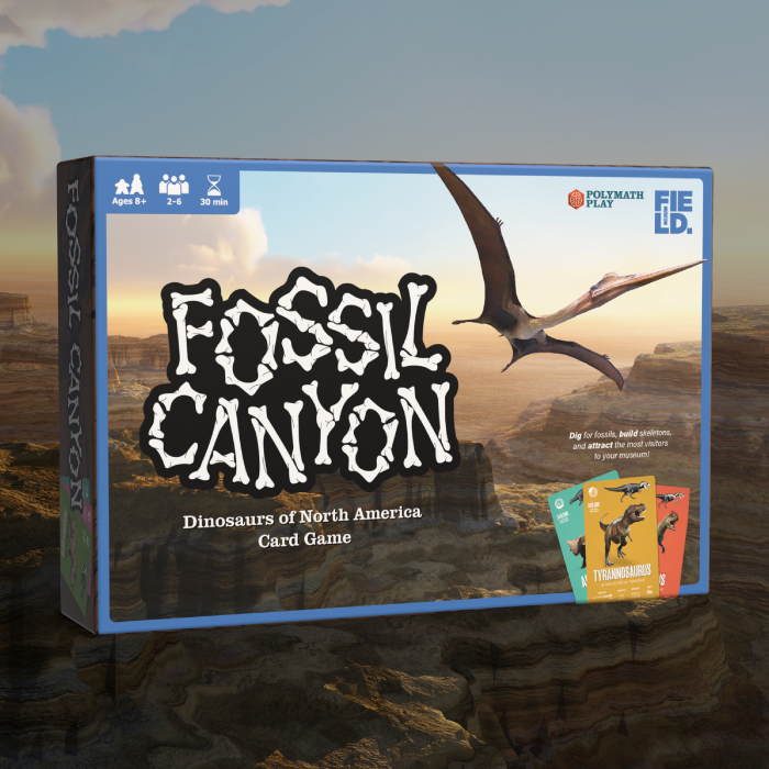 Polymath Play - Gamefound