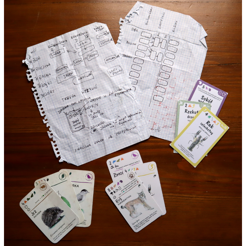 EcoLogic (Europe) - ecosystem game by EcoLogic - How did it start? - Gamefound