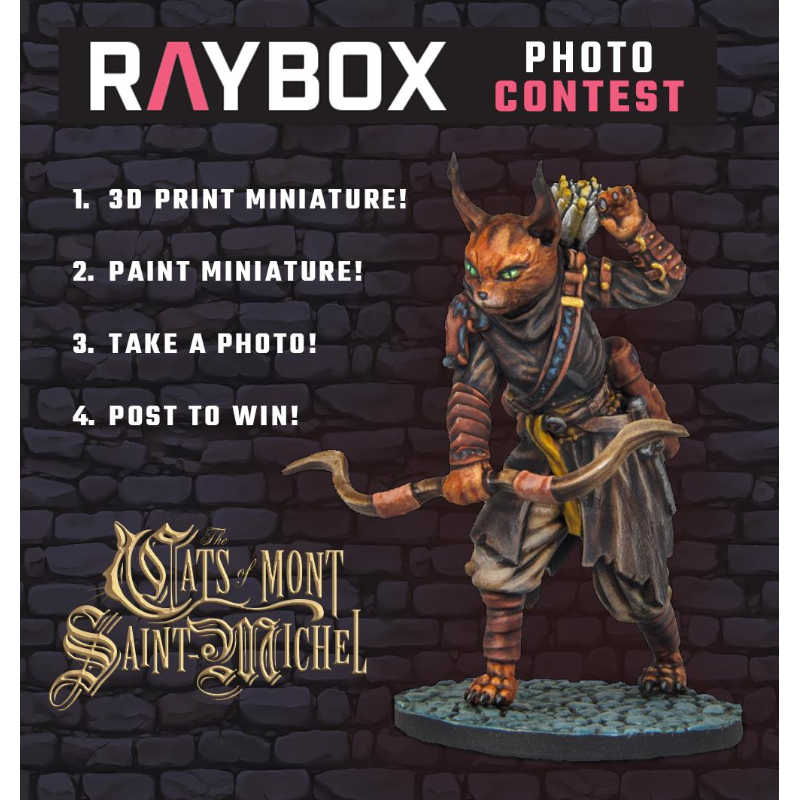 The Cats of Mont Saint Michel by Raybox Games - Contest News - Gamefound