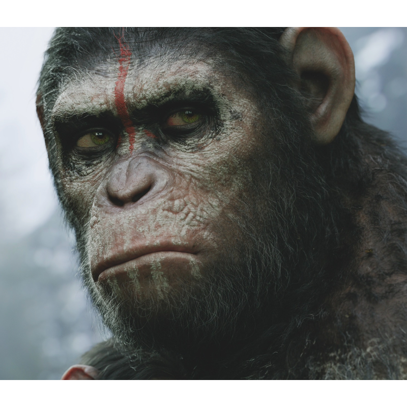 Planet of the Apes - The Miniatures Board Game by Z or Alive - Watch a ...