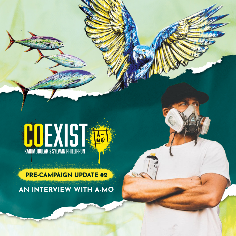 Coexist by Matagot - Pre-campaign update #2: learn more about Coexist ...