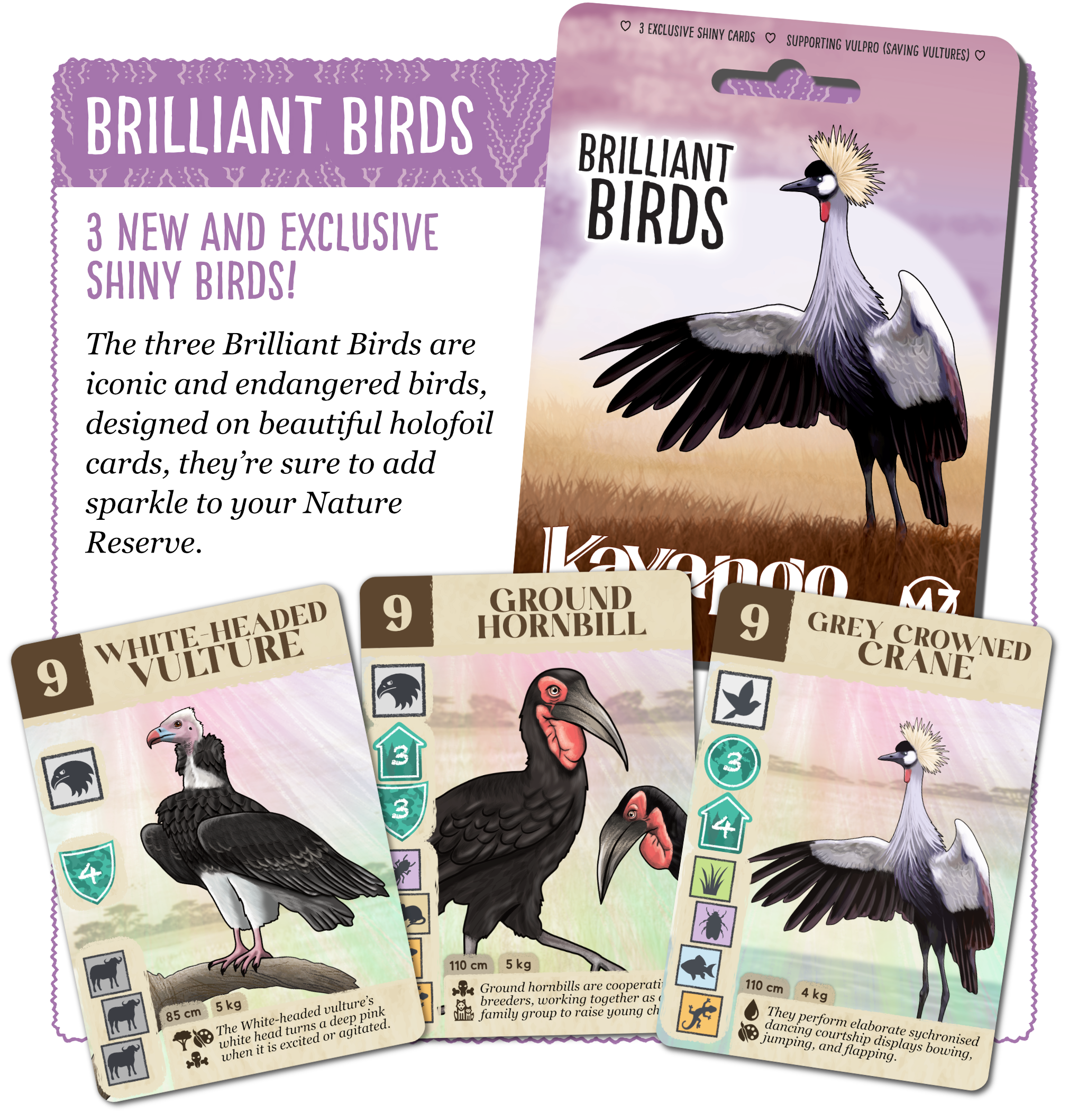 Kavango & Lodges Expansion by Mazaza Games - Gamefound