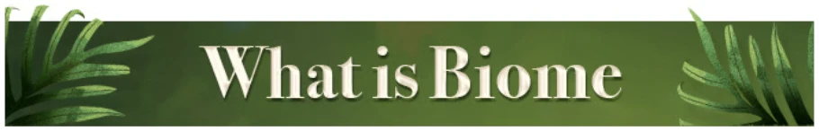 Biome | Nature themed board game for 1-4 players by Lioness Games ...