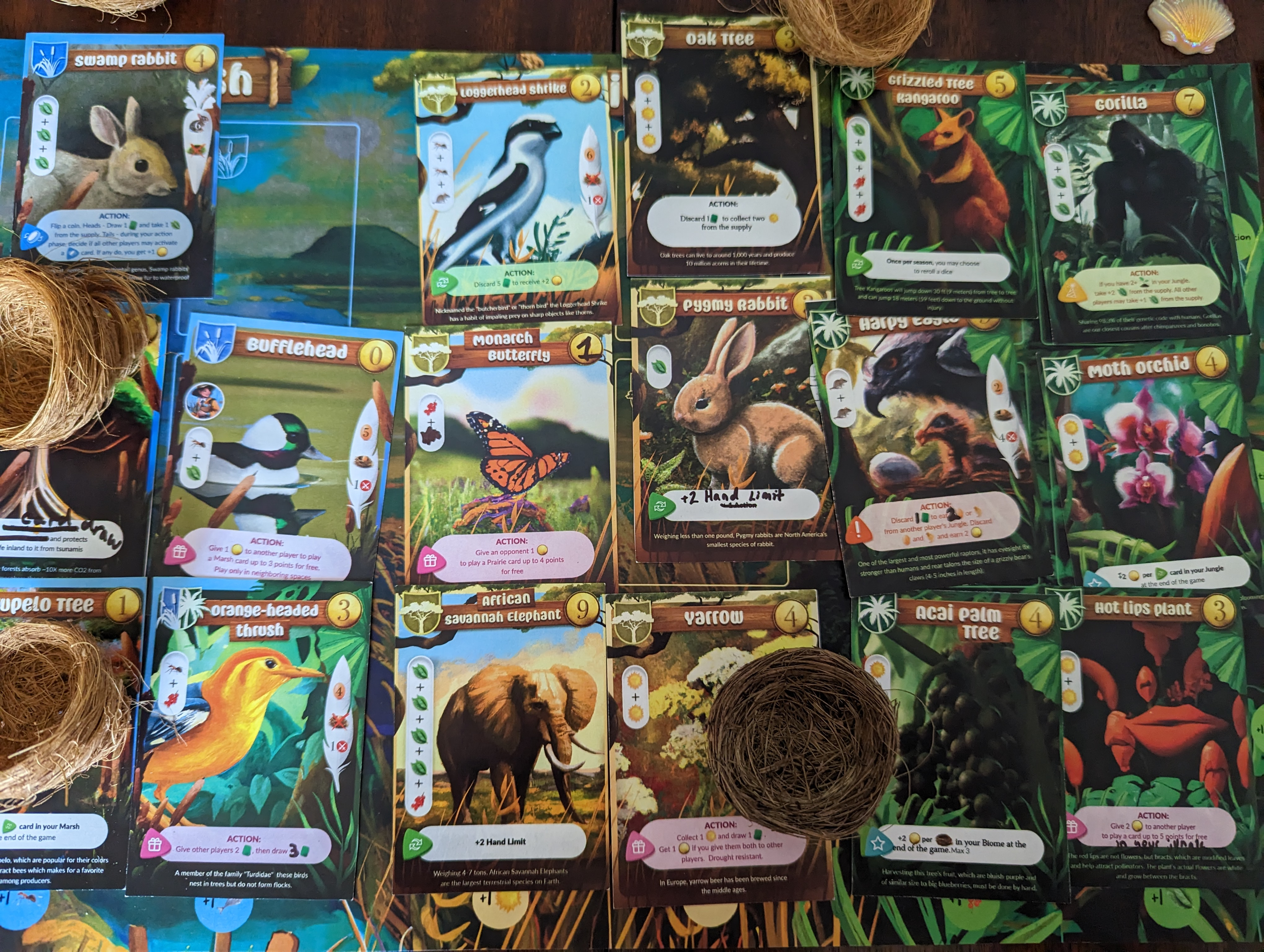 Biome | Nature themed board game for 1-4 players by Lioness Games ...