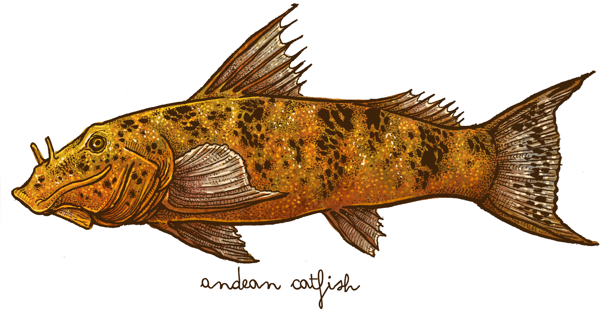 Hidden Ark by All Or None Games - Gamefound