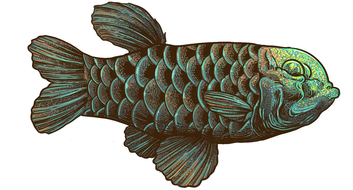 Hidden Ark: Deep Sea Expedition Expansion by All Or None Games - Gamefound