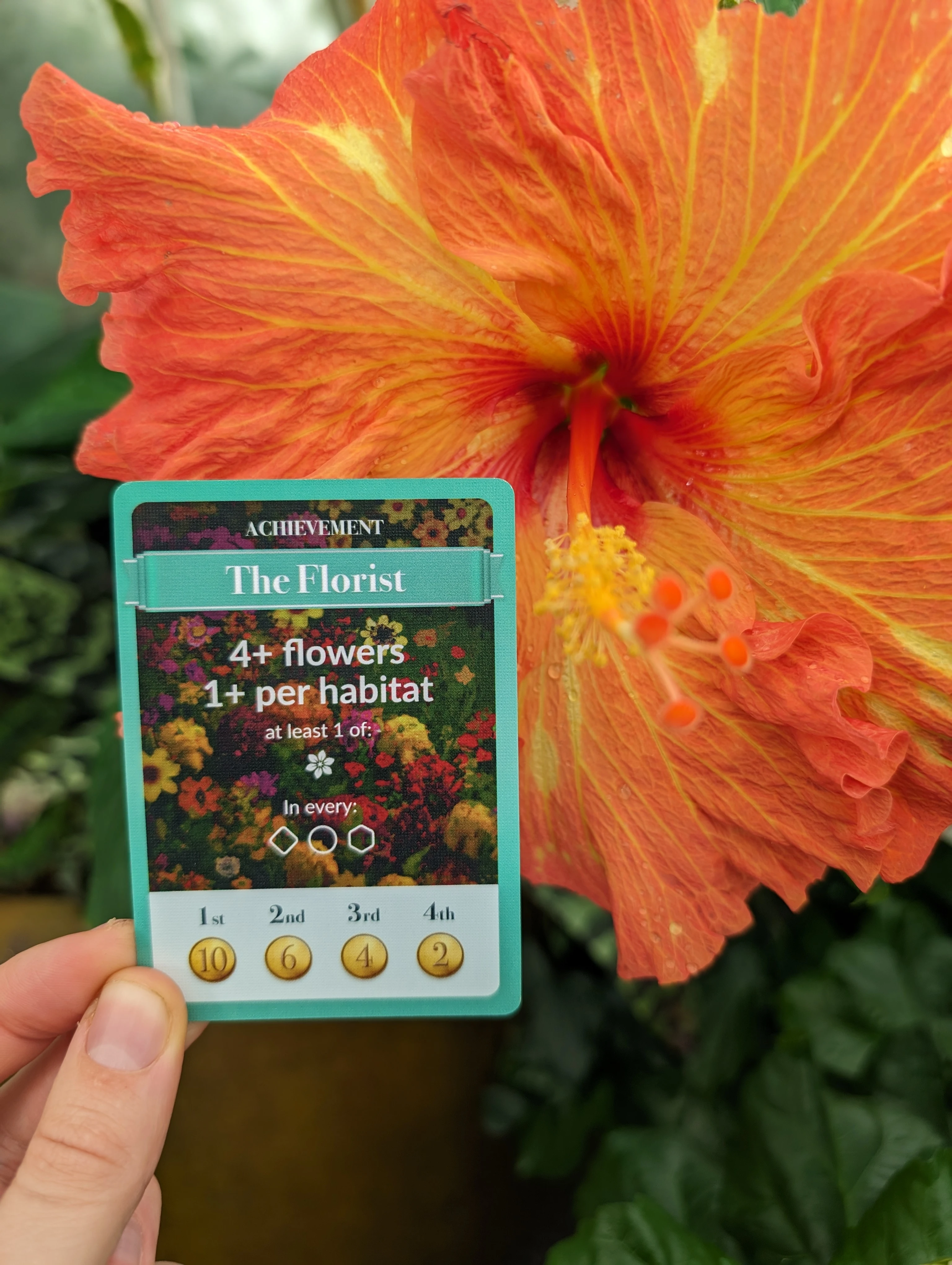 Biome | Nature themed board game for 1-4 players by Lioness Games ...