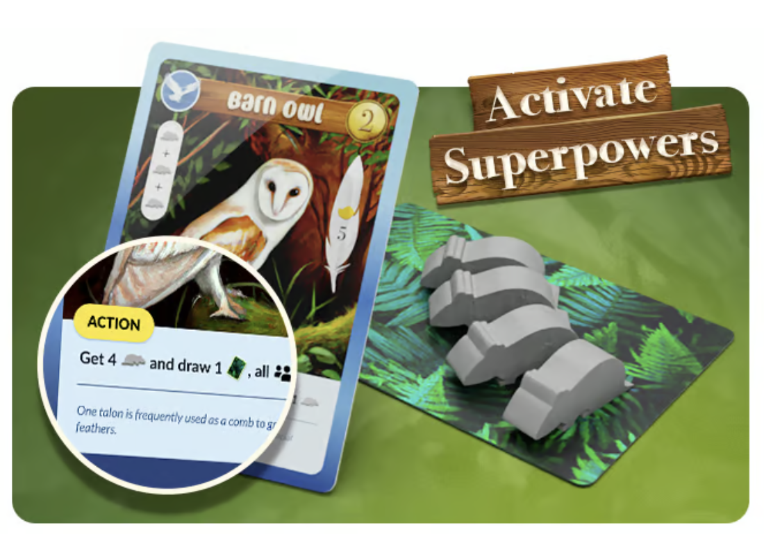 Biome | Nature themed board game for 1-4 players by Lioness Games ...