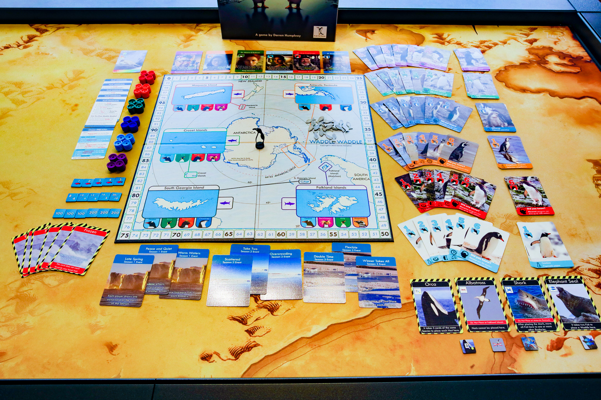 Waddle Waddle by Brush-Tail Games - Gamefound