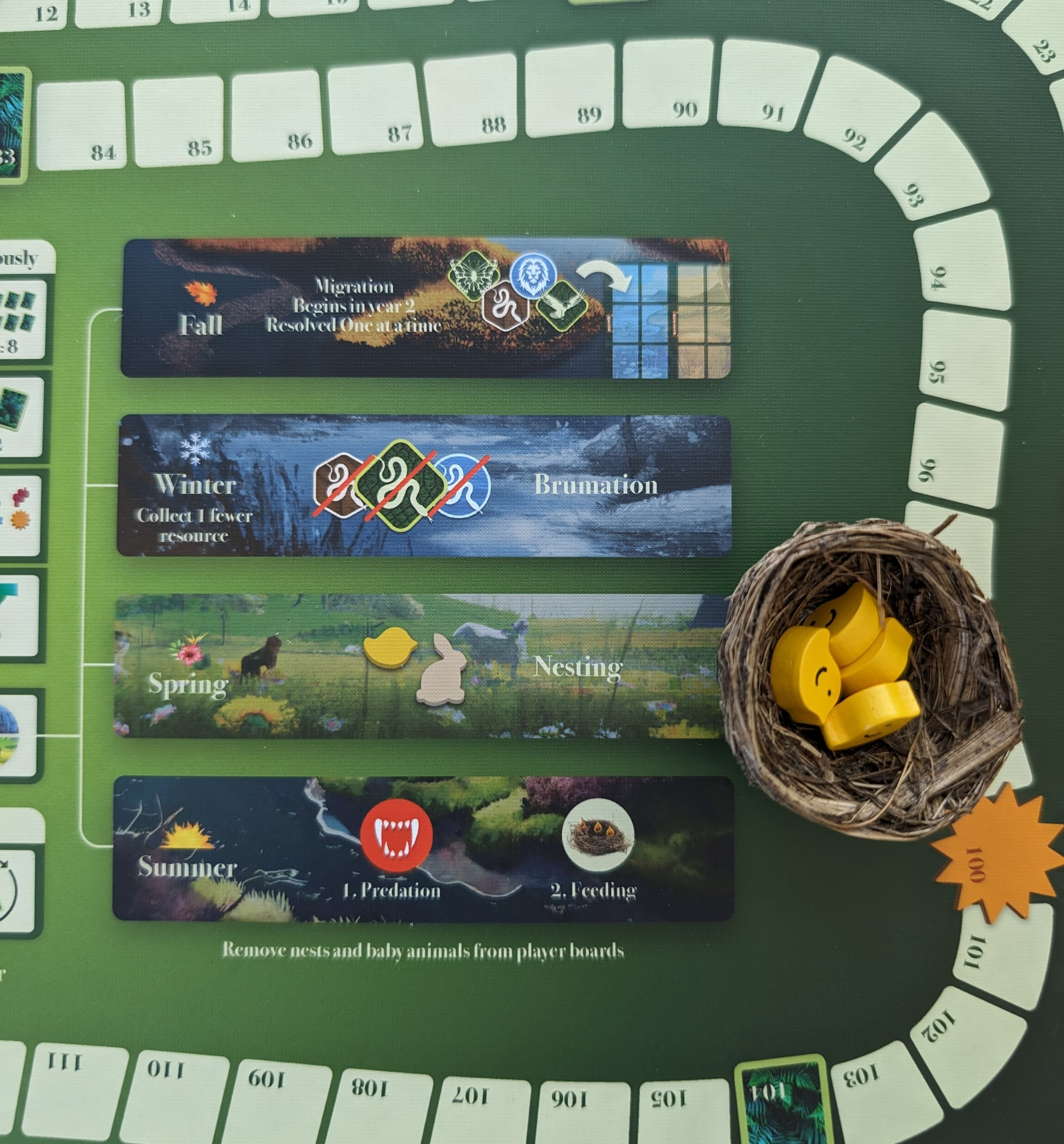 Biome | Nature themed board game for 1-4 players by Lioness Games ...