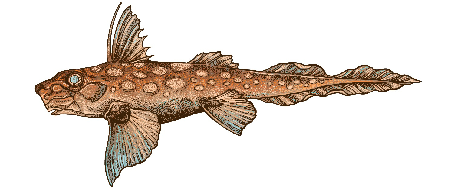 Hidden Ark: Deep Sea Expedition Expansion by All Or None Games - Gamefound