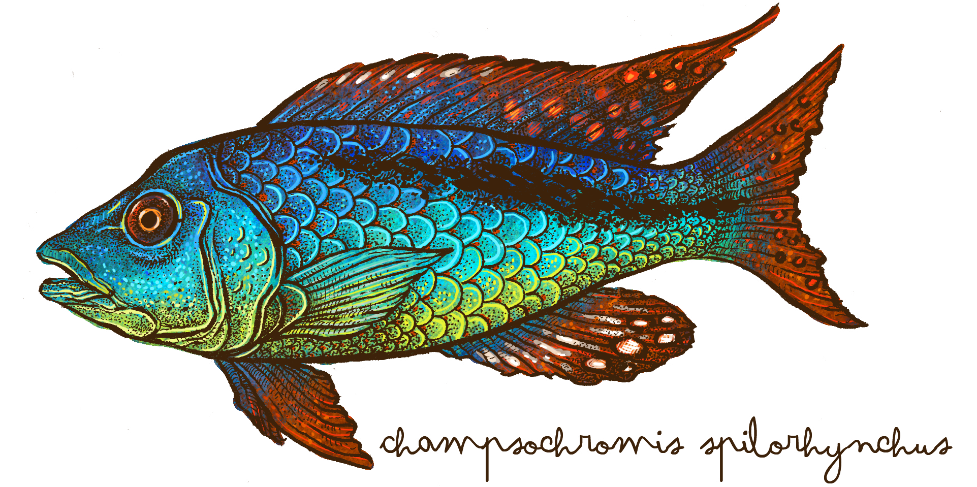 Hidden Ark by All Or None Games - Gamefound