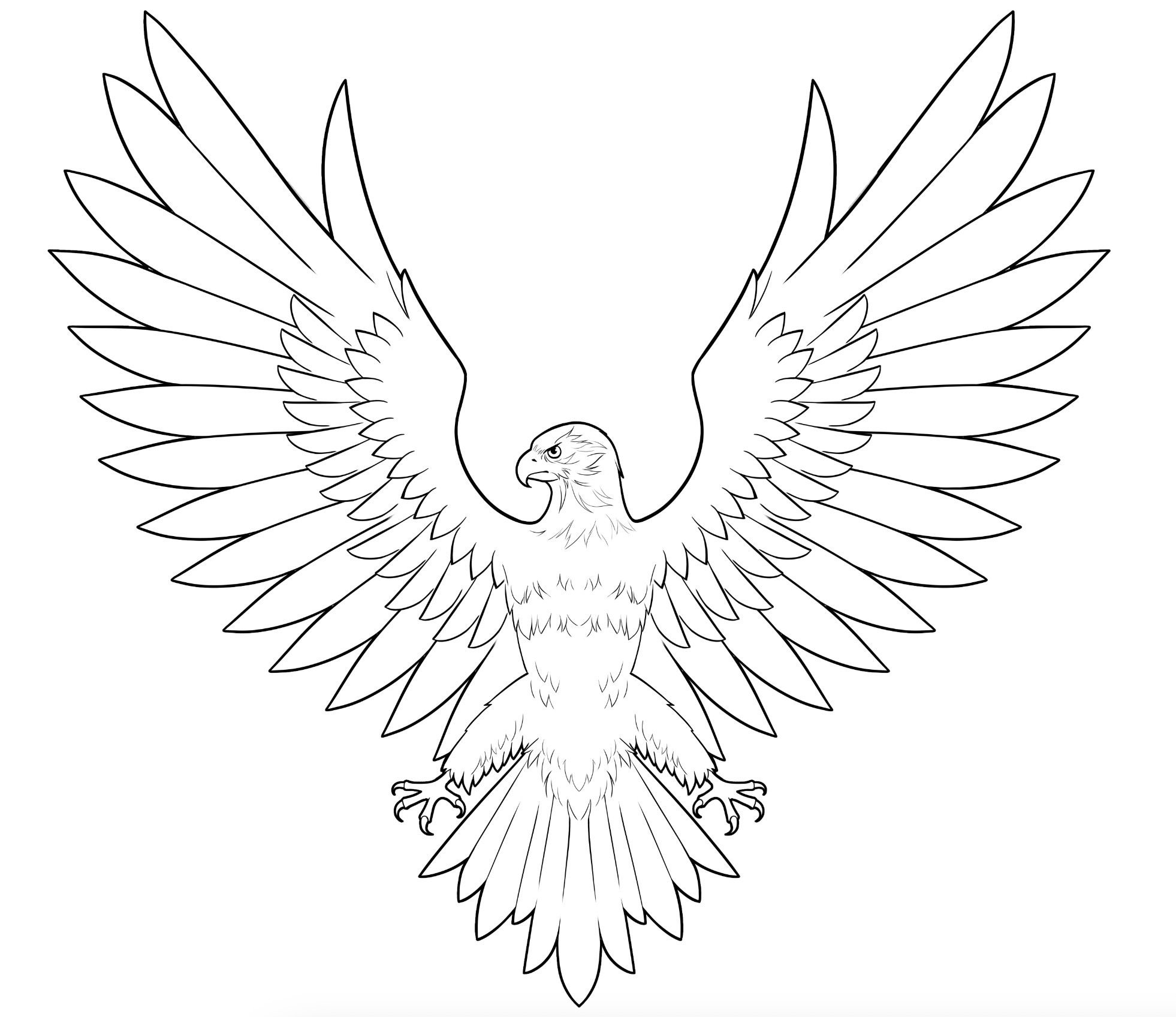 Falconry by Jared - Final week to join Falconry Kickstarter campaign ...