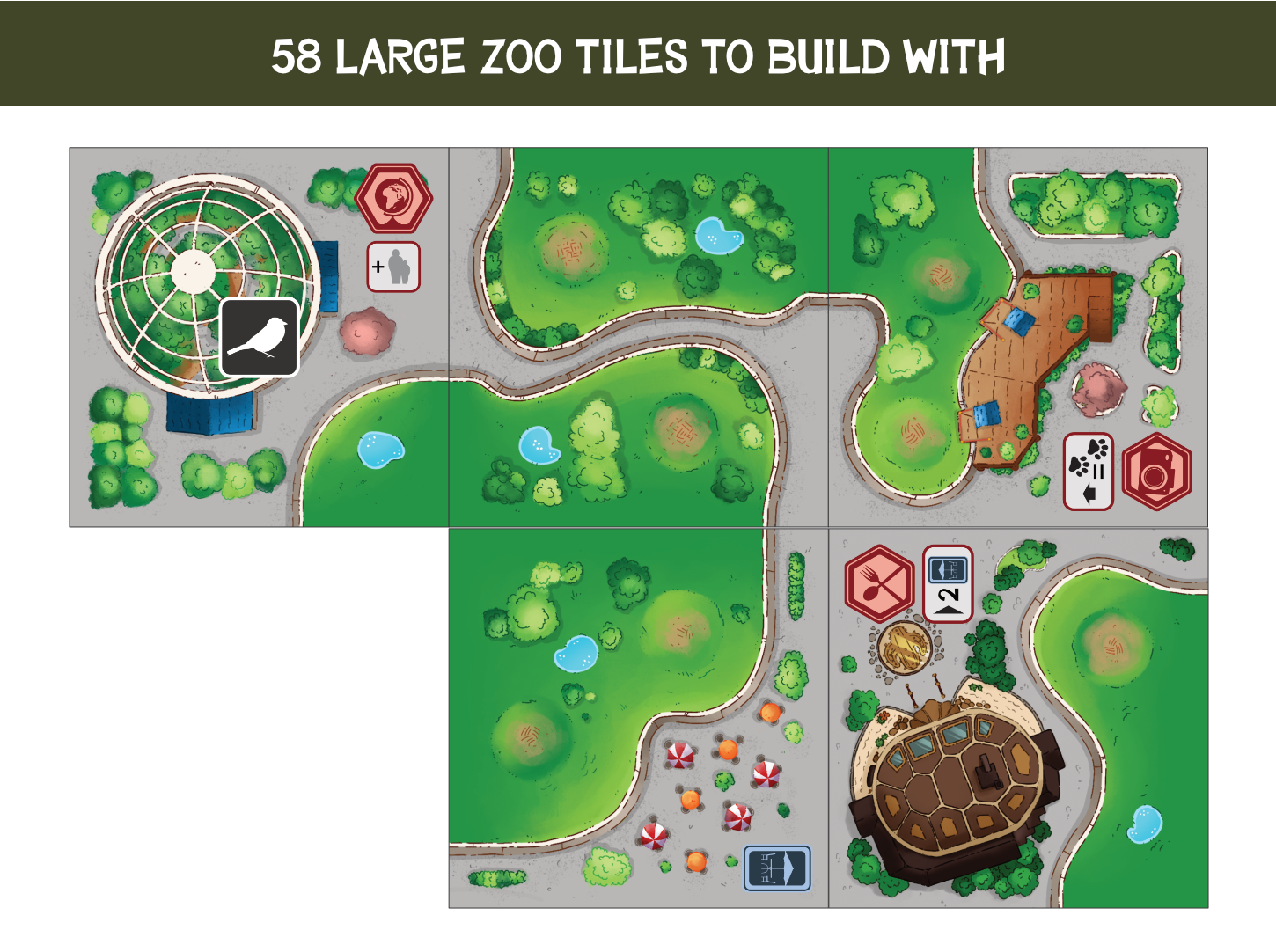 Zoo-ography Extended Edition - 2nd Edition Reprint with Connections and ...