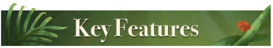 Biome | Nature themed board game for 1-4 players by Lioness Games ...