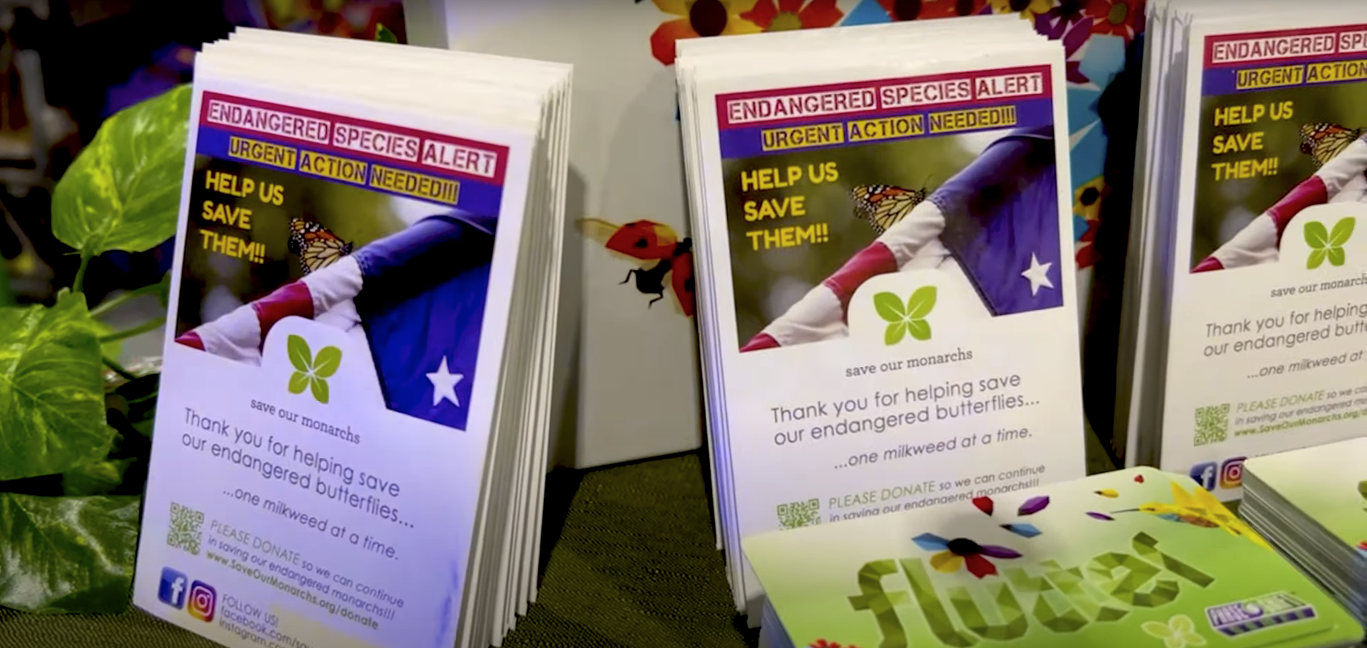 Flutter by Phase Shift Games - Gamefound