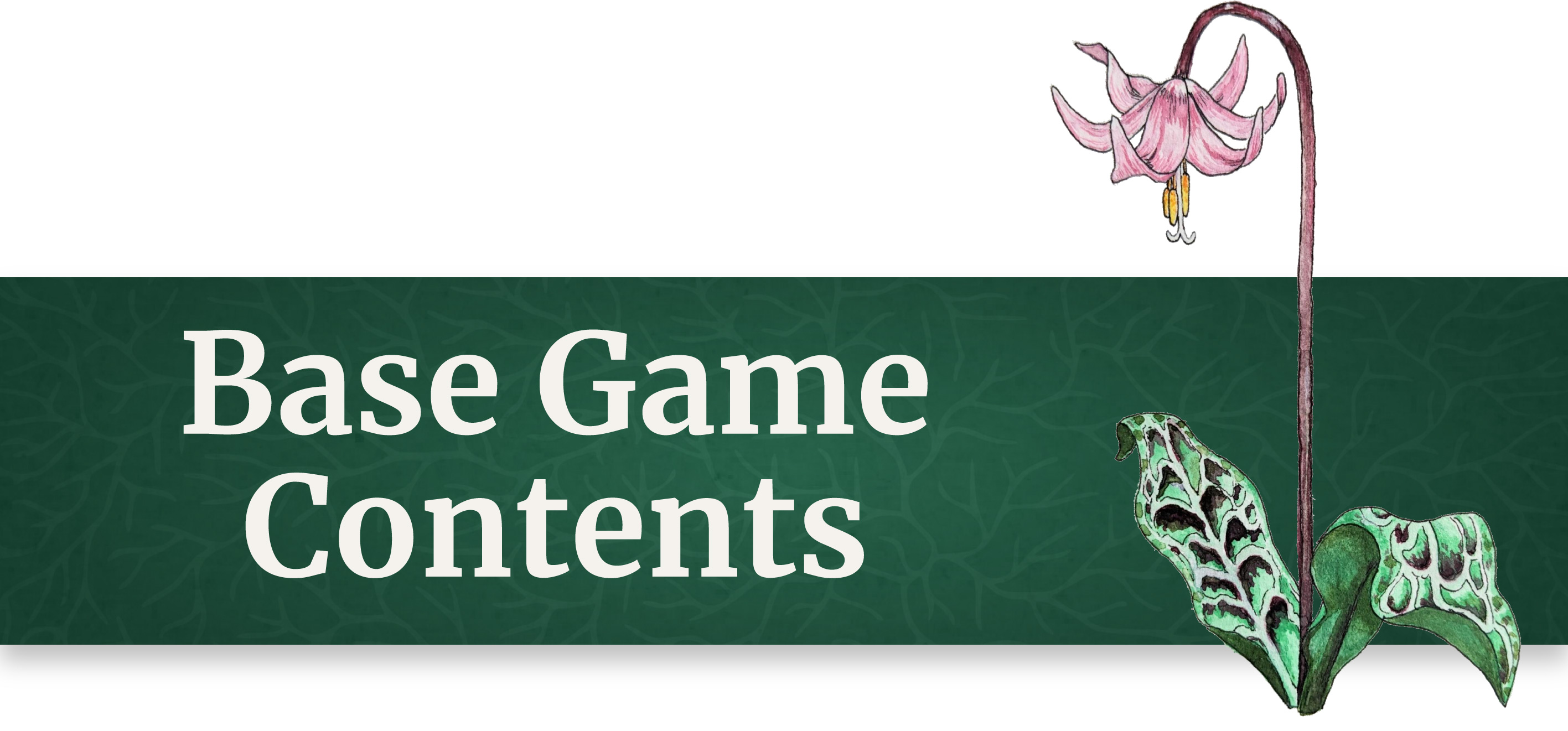 Reforest: Reprint + Old Growth by Firestarter Games - Gamefound