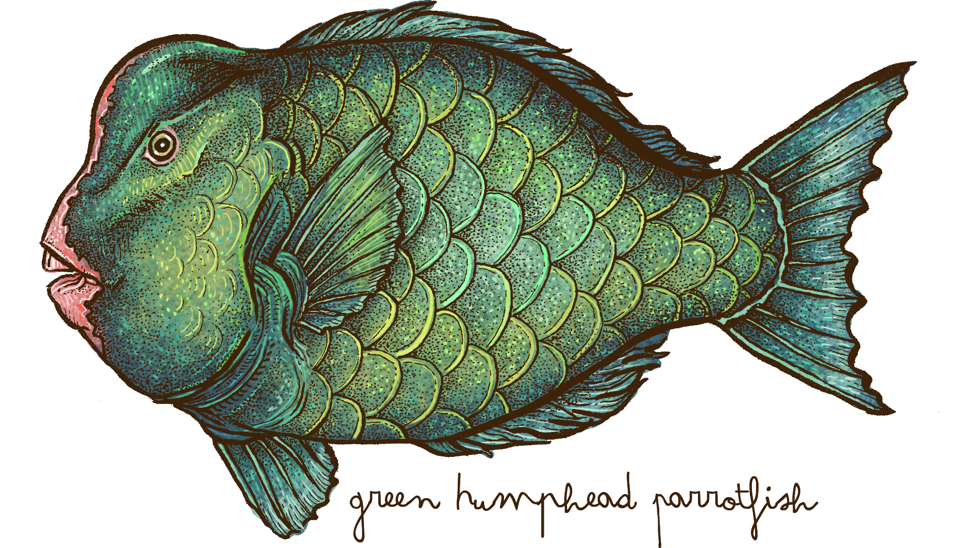 Hidden Ark by All Or None Games - Gamefound