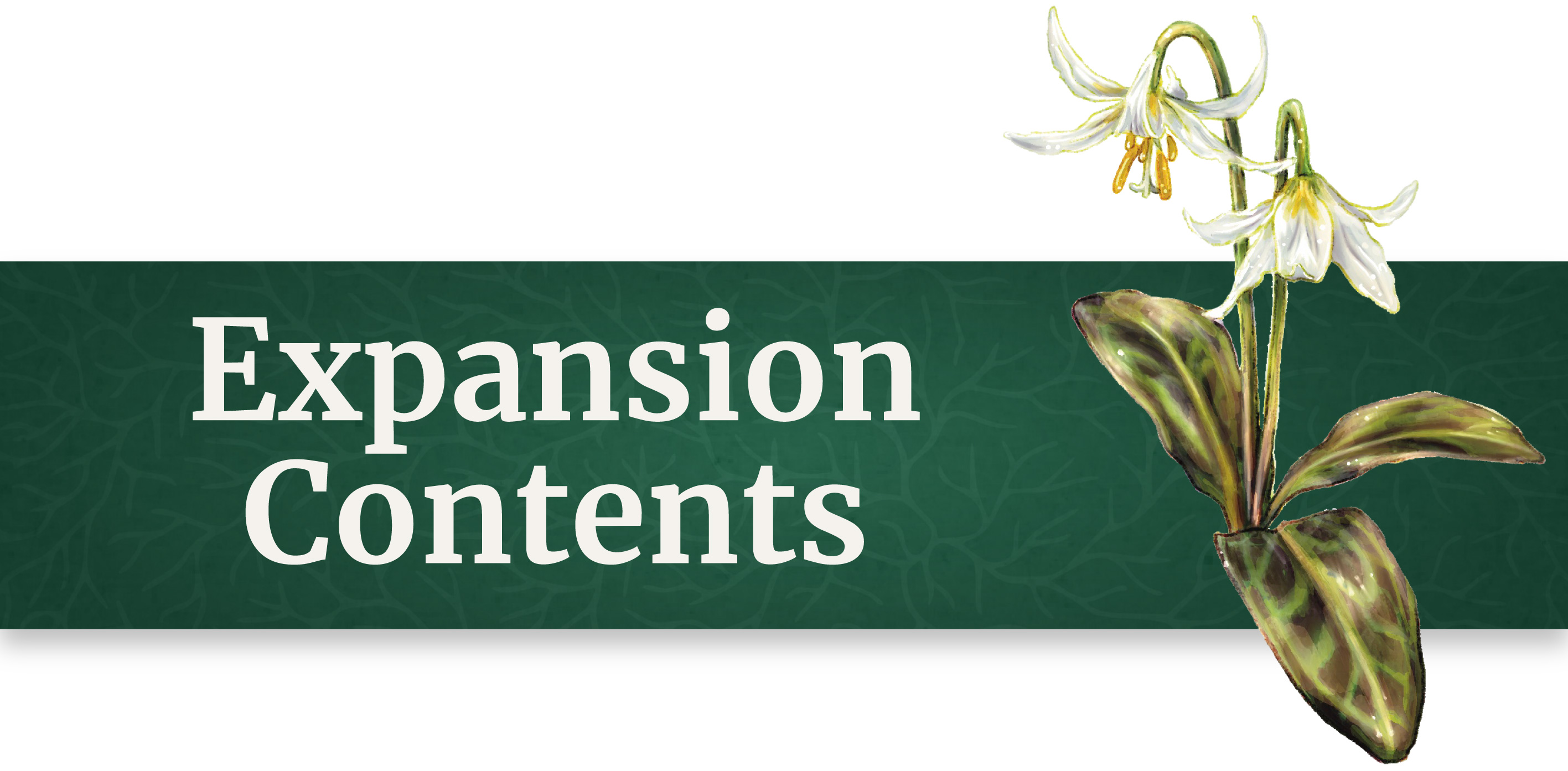 Reforest: Reprint + Old Growth by Firestarter Games - Gamefound