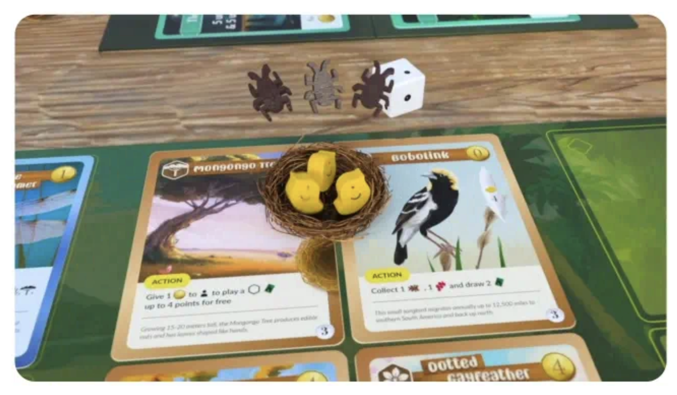 Biome | Nature themed board game for 1-4 players by Lioness Games ...