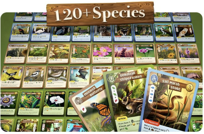 Biome | Nature themed board game for 1-4 players by Lioness Games ...