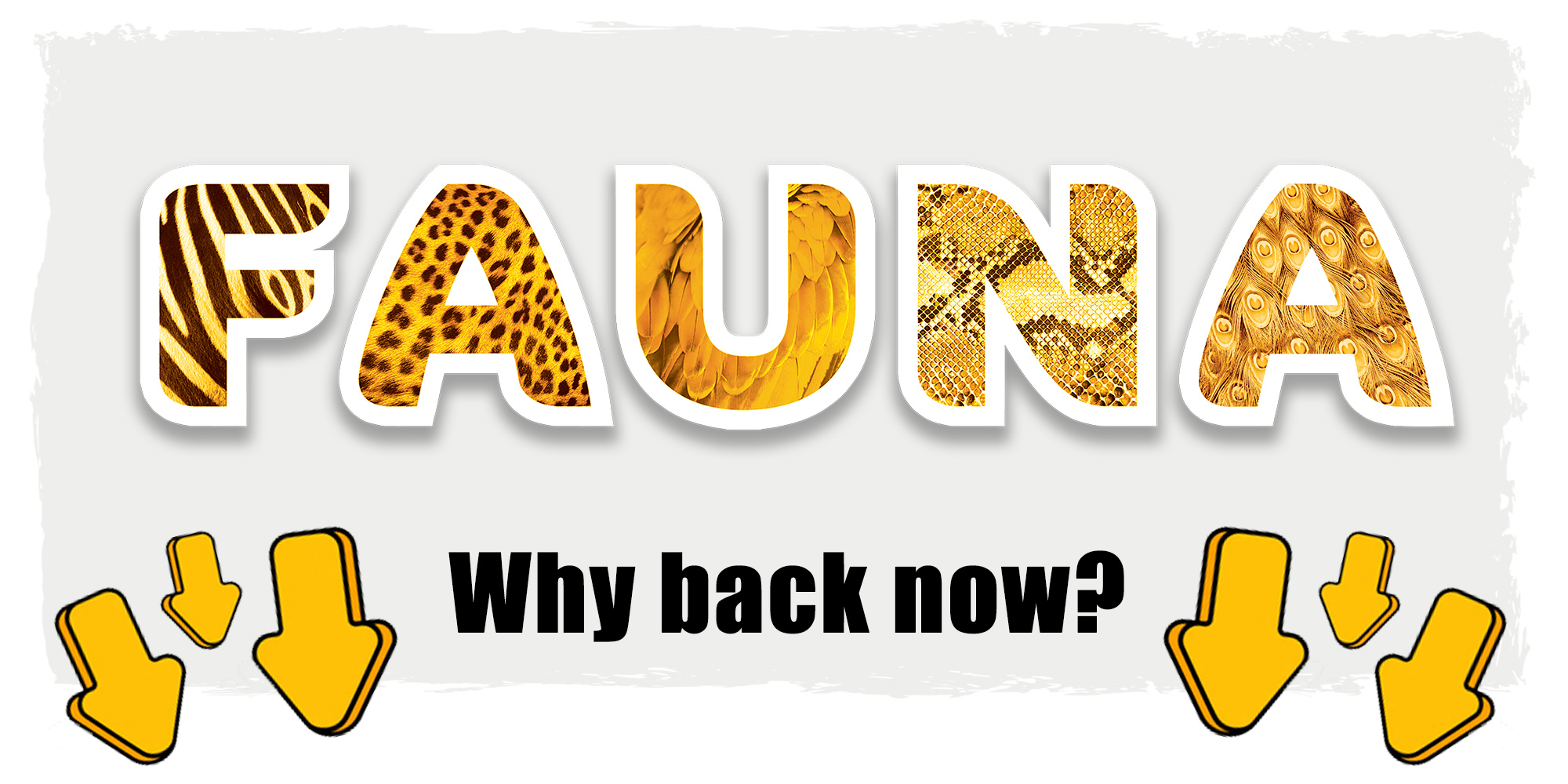 Fauna - The Animal Trivia Game by Rathskellers - Gamefound